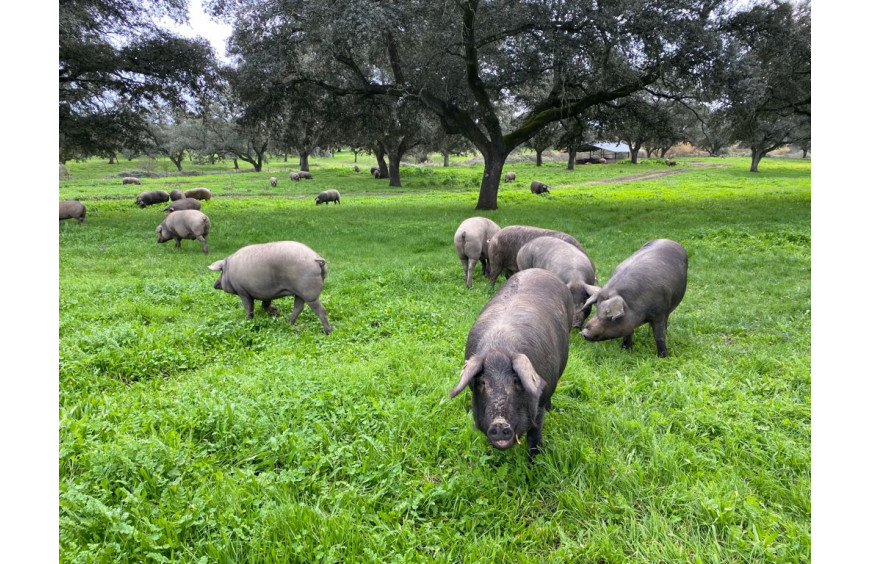 Tienda Online. Calidad y Confianza.